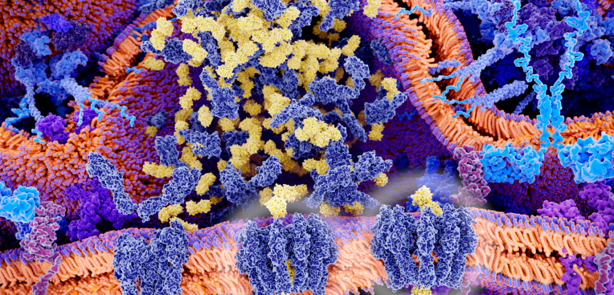 ESMO 2021 - MONALEESA-2: Ribociclib extends OS on HR+/HER2-